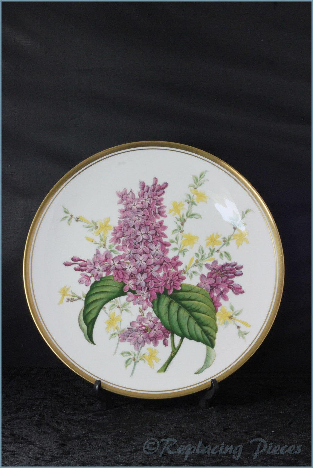 Spode Collector Plates – ReplacingPieces