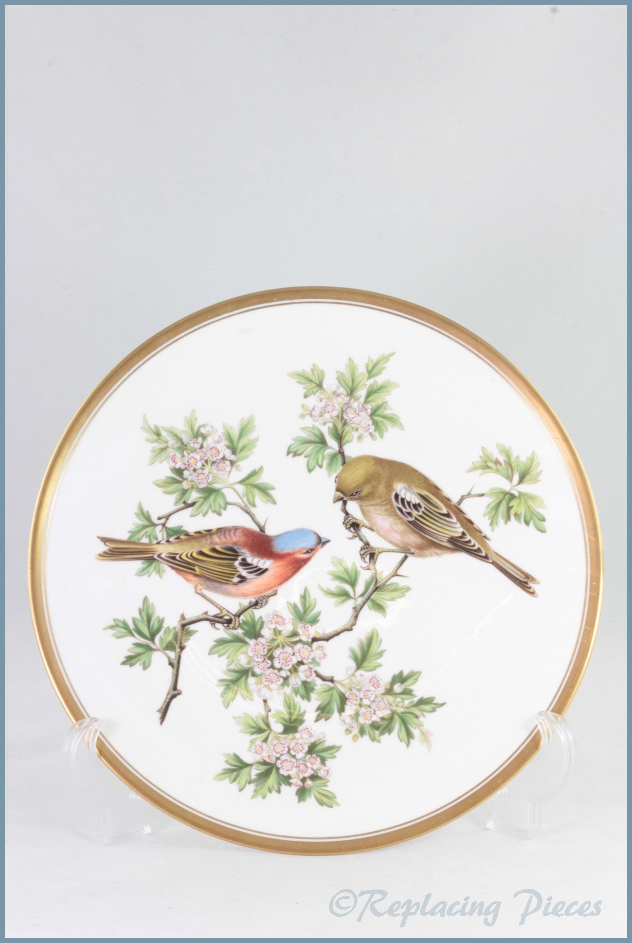 Spode - Garden Birds - Collector Plates – ReplacingPieces